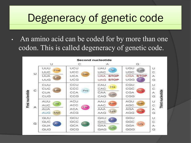 Geneticcode ppt | PPTX | Programming Languages | Computing