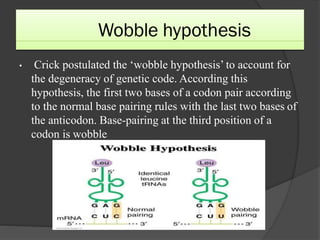 Geneticcode ppt | PPTX | Programming Languages | Computing
