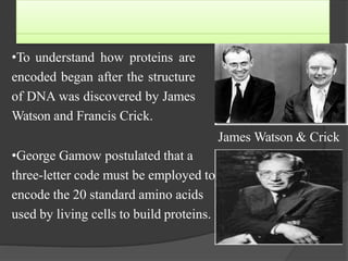 Geneticcode ppt | PPTX | Programming Languages | Computing