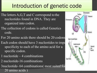 Geneticcode ppt | PPTX | Programming Languages | Computing