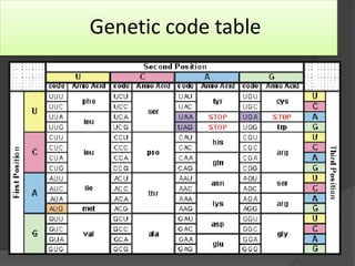 Geneticcode ppt | PPTX | Programming Languages | Computing