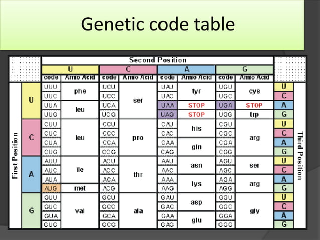 Geneticcode ppt | PPTX | Programming Languages | Computing