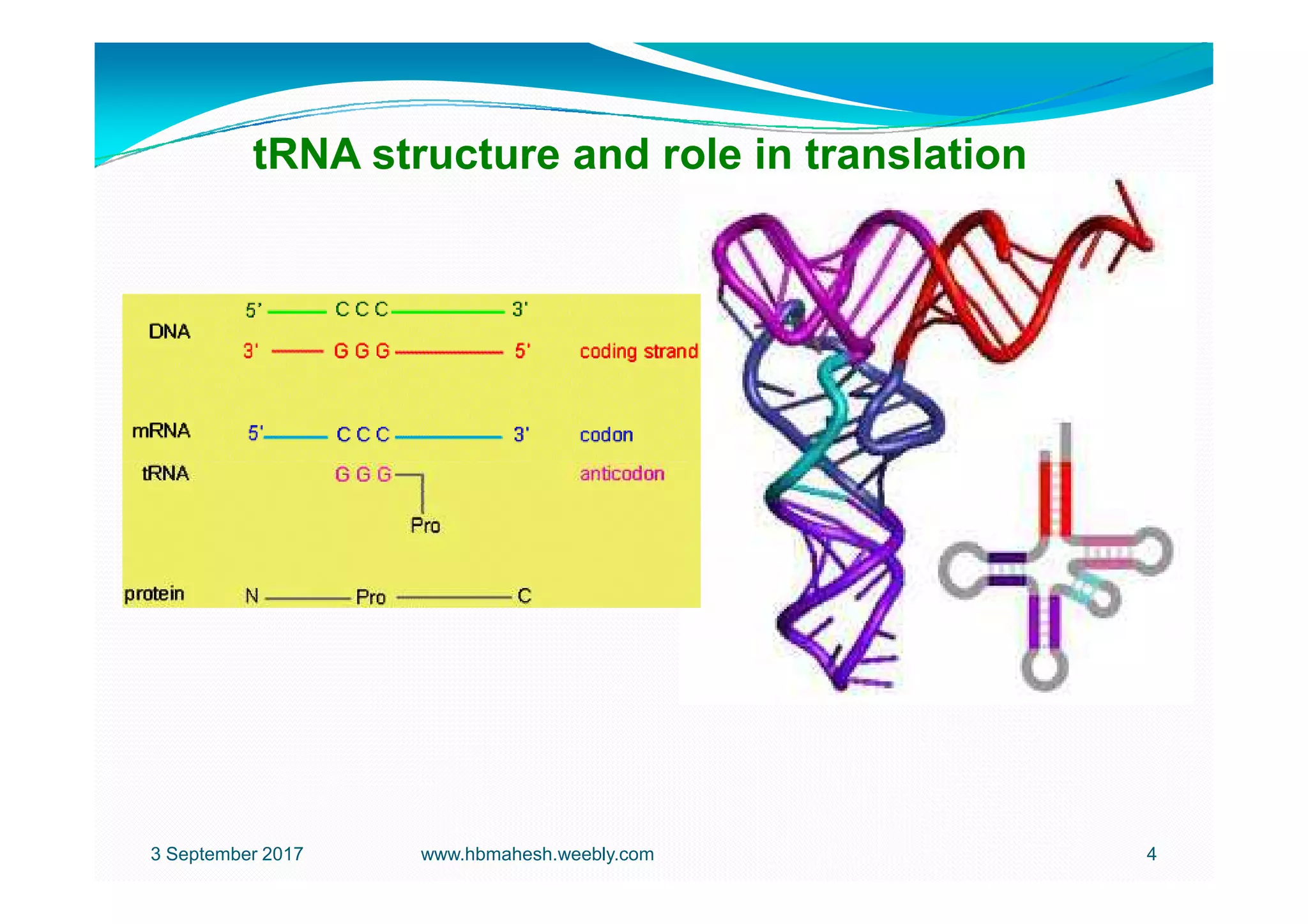 genetic_code_ppt..pdf