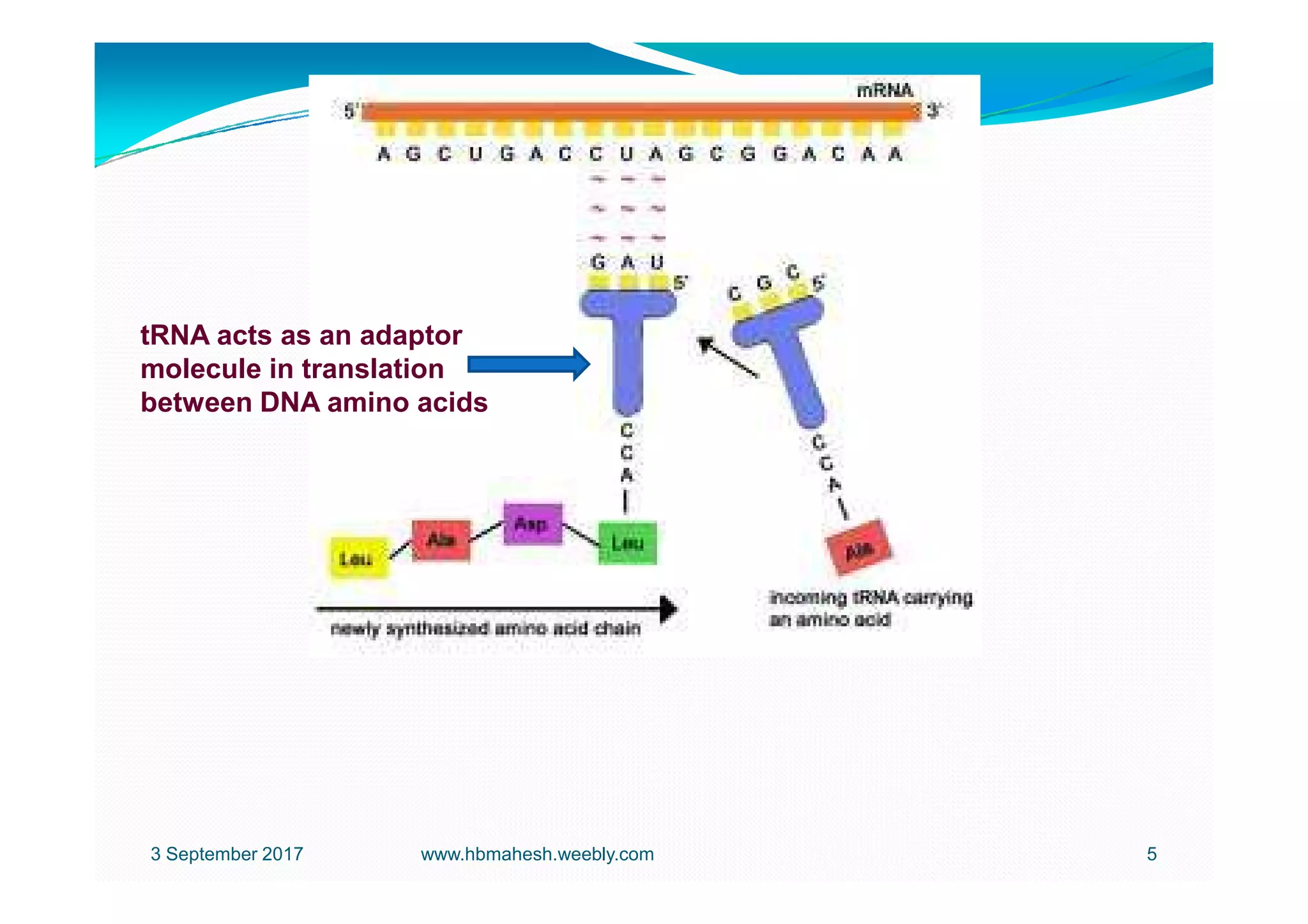 genetic_code_ppt..pdf