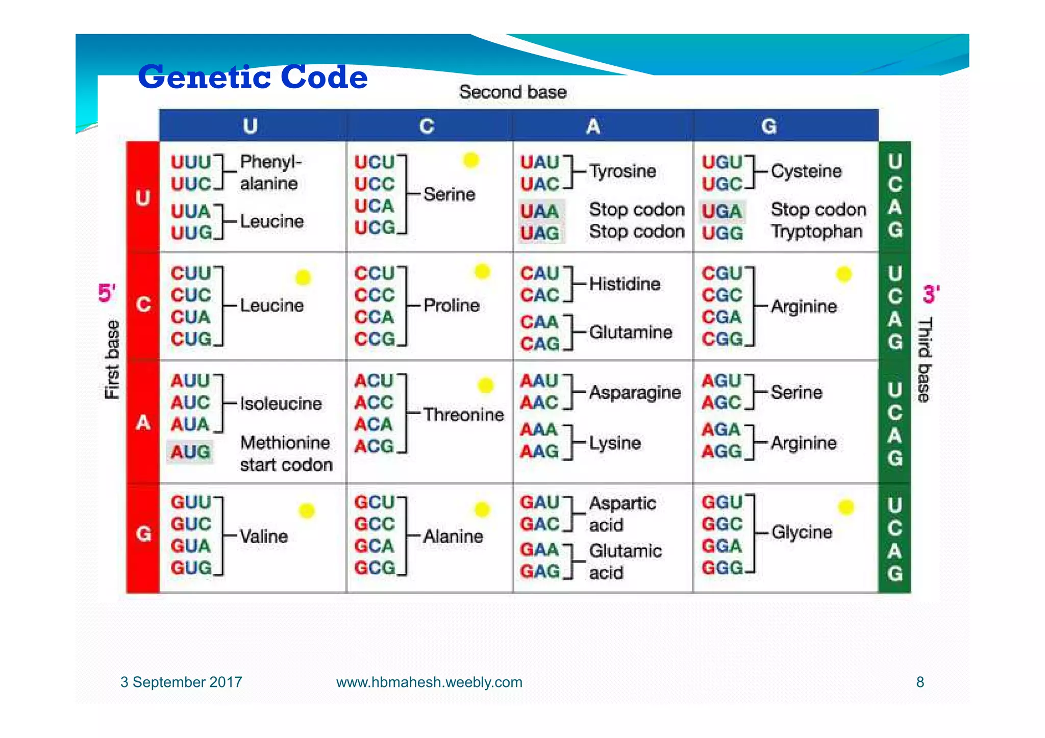 genetic_code_ppt..pdf