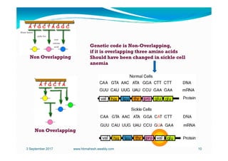 genetic_code_ppt..pdf