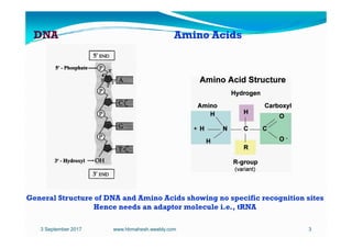 genetic_code_ppt..pdf