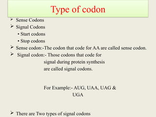 Genetic code ppt and role in protein synthesis | PPTX