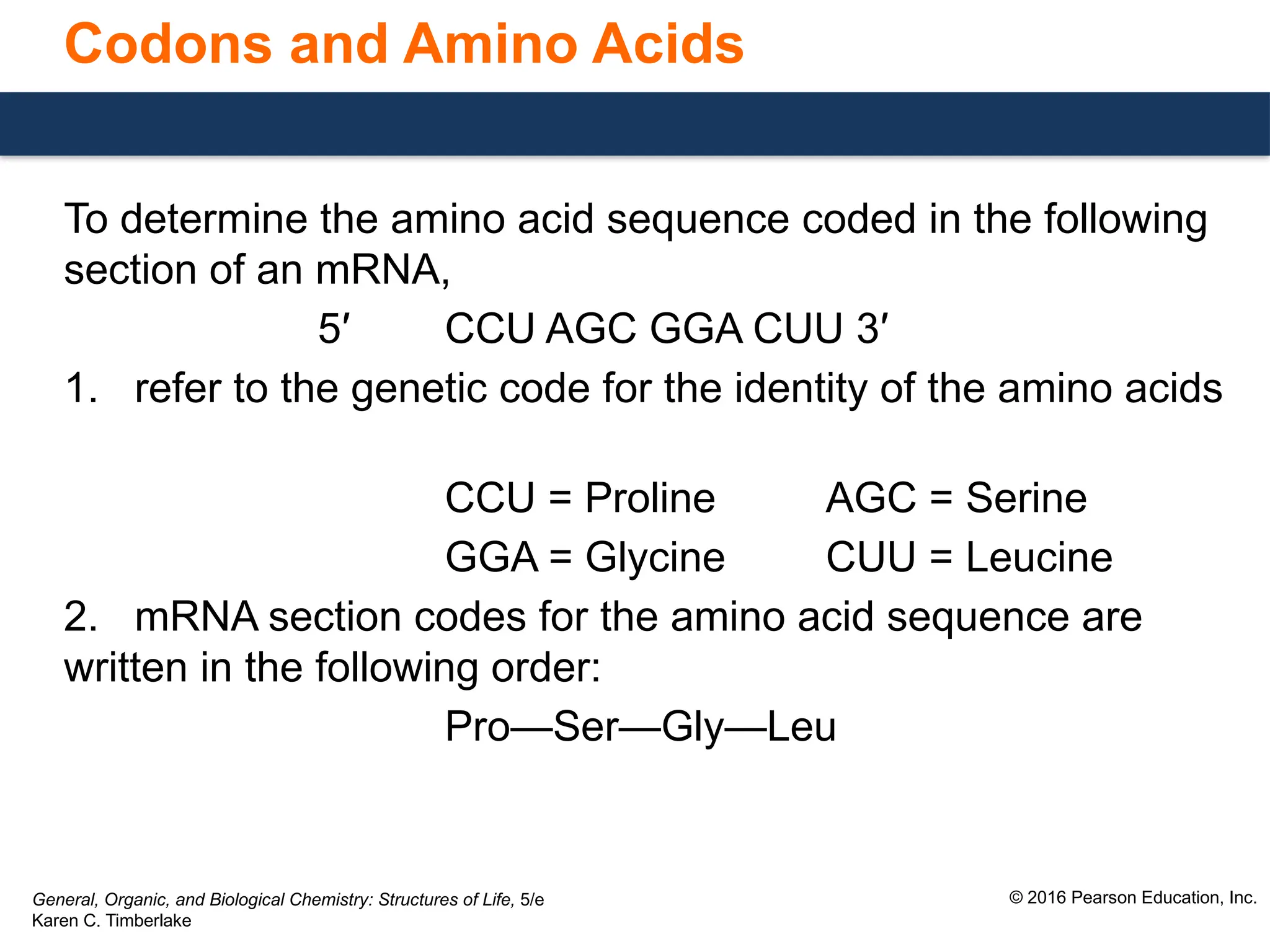 Genetic Code Protein Synthesisssssssssssss | PPTX