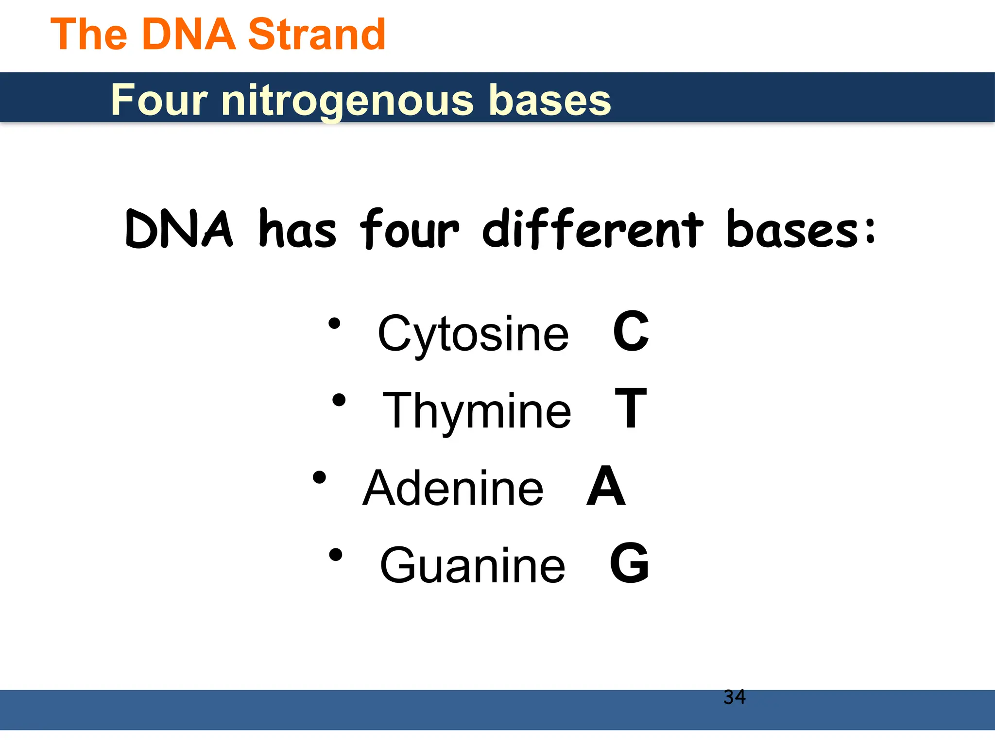 Genetic Code Protein Synthesisssssssssssss | PPTX
