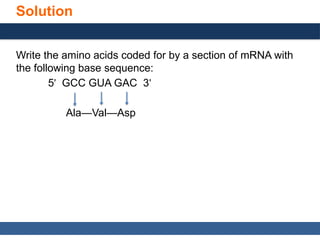 Genetic Code Protein Synthesisssssssssssss | PPTX