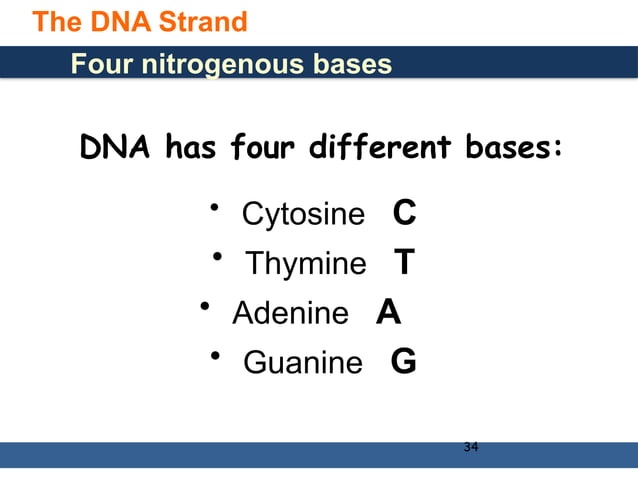Genetic Code Protein Synthesisssssssssssss | PPT