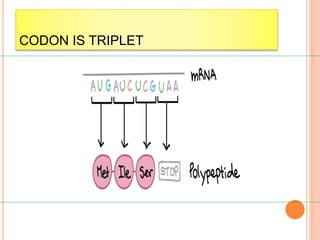 GENETIC CODE | PPTX