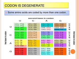 GENETIC CODE | PPTX
