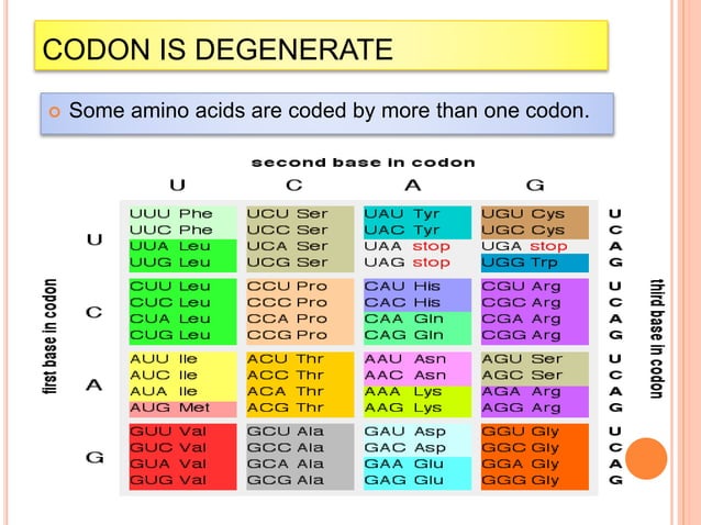 GENETIC CODE | PPTX | Genetics | Science
