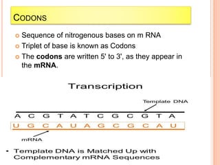 GENETIC CODE | PPTX