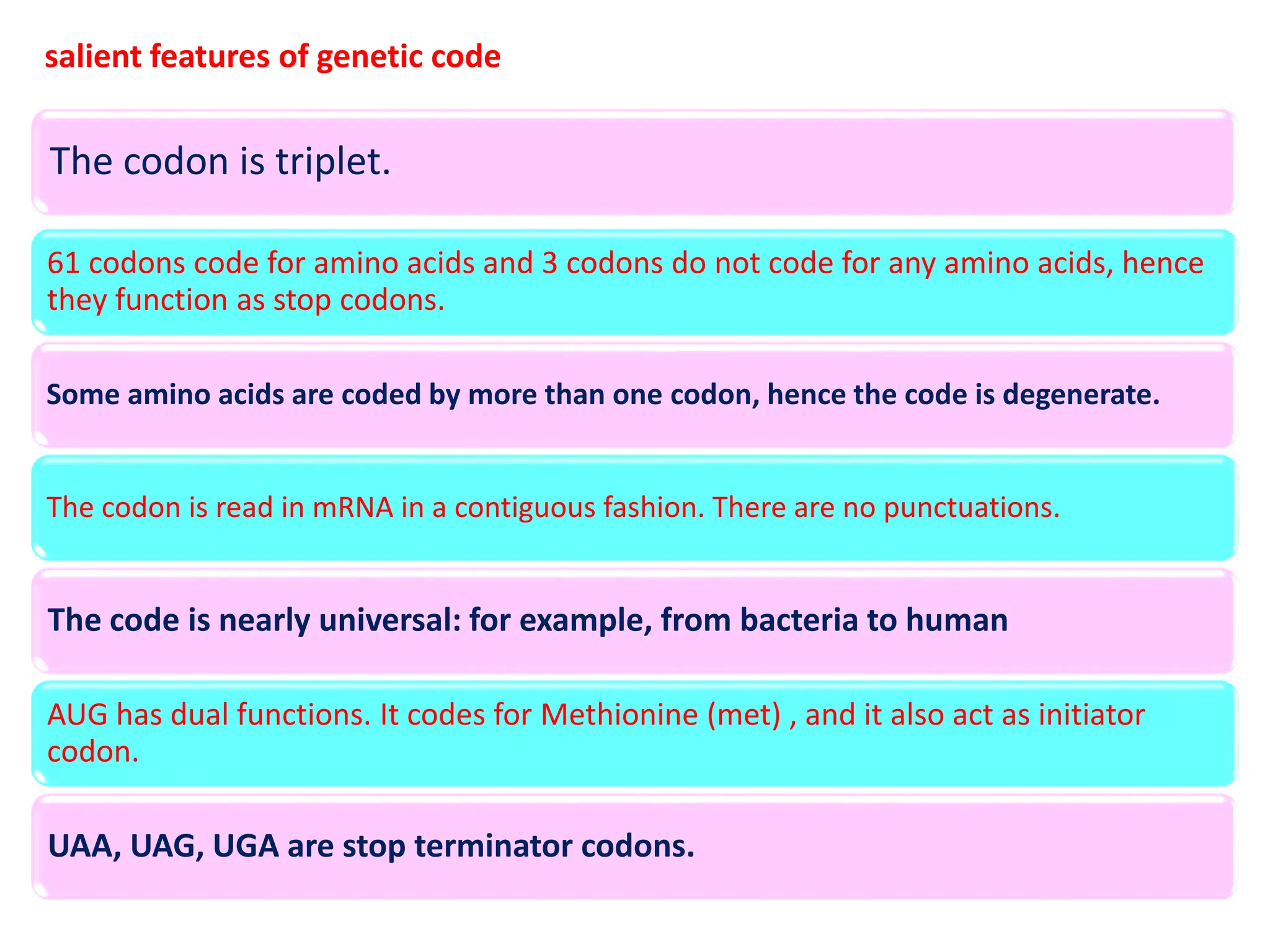 GENETIC CODE Class XII Biology NCERT based.pptx