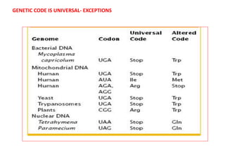 GENETIC CODE Class XII Biology NCERT based.pptx