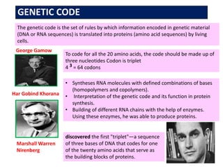 GENETIC CODE Class XII Biology NCERT based.pptx