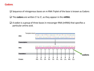 GENETIC CODE Class XII Biology NCERT based.pptx