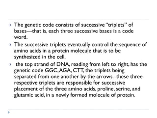 Genetic code & transcription | PPTX