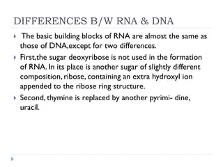 Genetic code & transcription | PPTX
