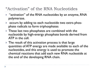 Genetic code & transcription | PPTX