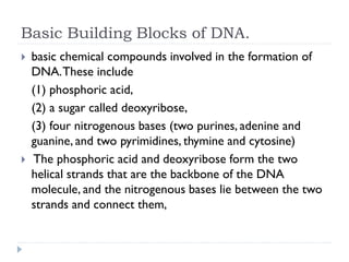 Genetic code & transcription | PPTX