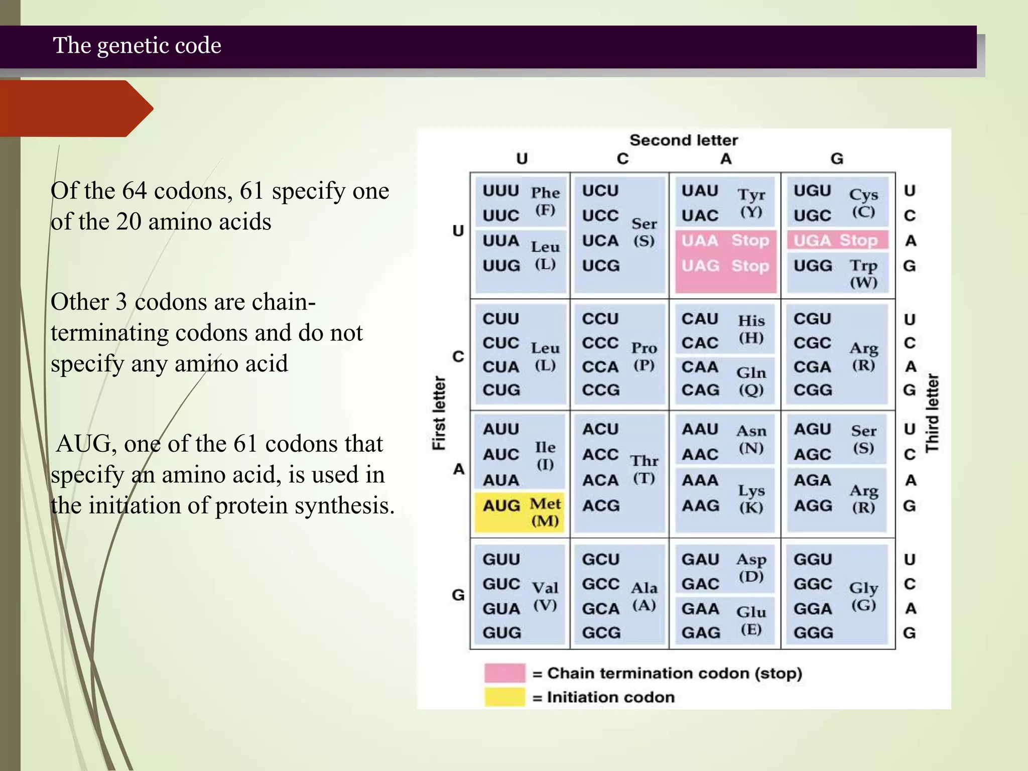 GENETIC CODONS.ppt