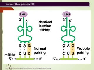 GENETIC CODONS.ppt