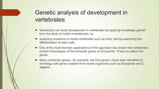 Genetic control of animal development | PPTX