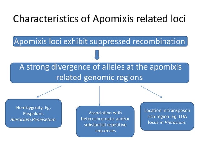 Genetic control of apomixis | PPTX