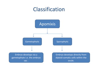 Genetic control of apomixis | PPTX