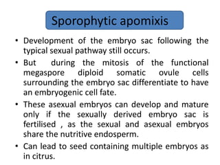 Genetic control of apomixis | PPTX