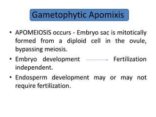 Genetic control of apomixis | PPTX