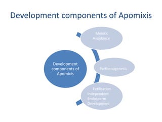 Genetic control of apomixis | PPTX