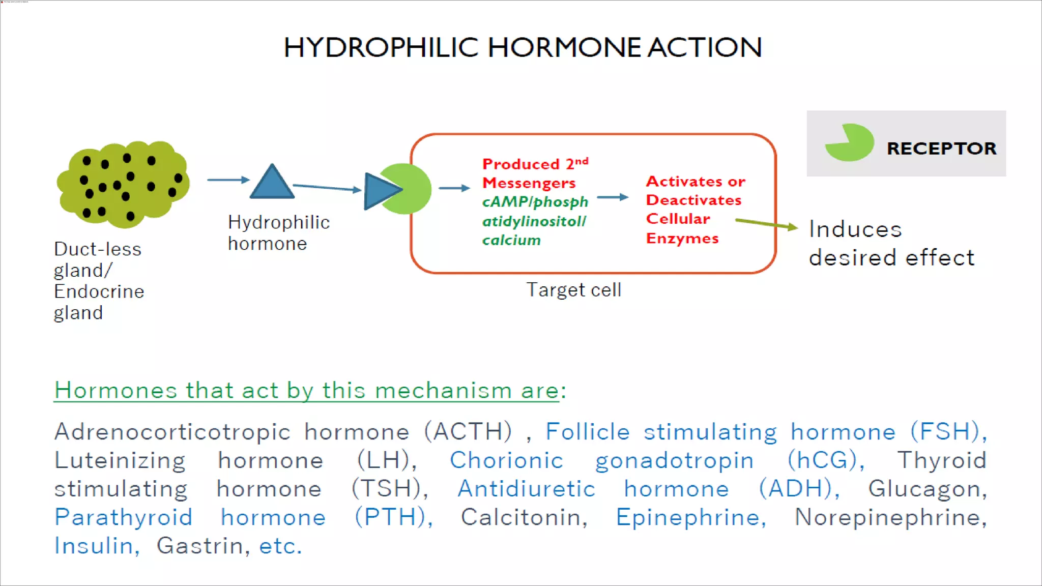 Genetic control of formation of hormone formation | PPTX
