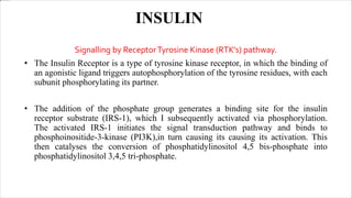 Genetic control of formation of hormone formation | PPTX