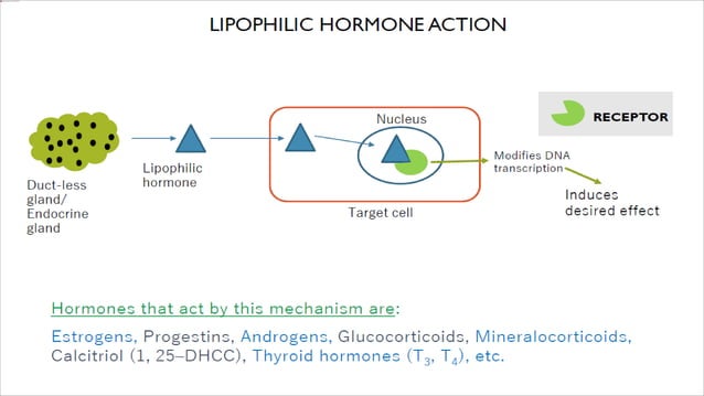 Genetic control of formation of hormone formation | PPTX | Thyroid ...