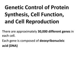 Genetic control of protein synthesis | PPTX