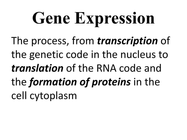 Genetic control of protein synthesis | PPTX | Biological Sciences | Science