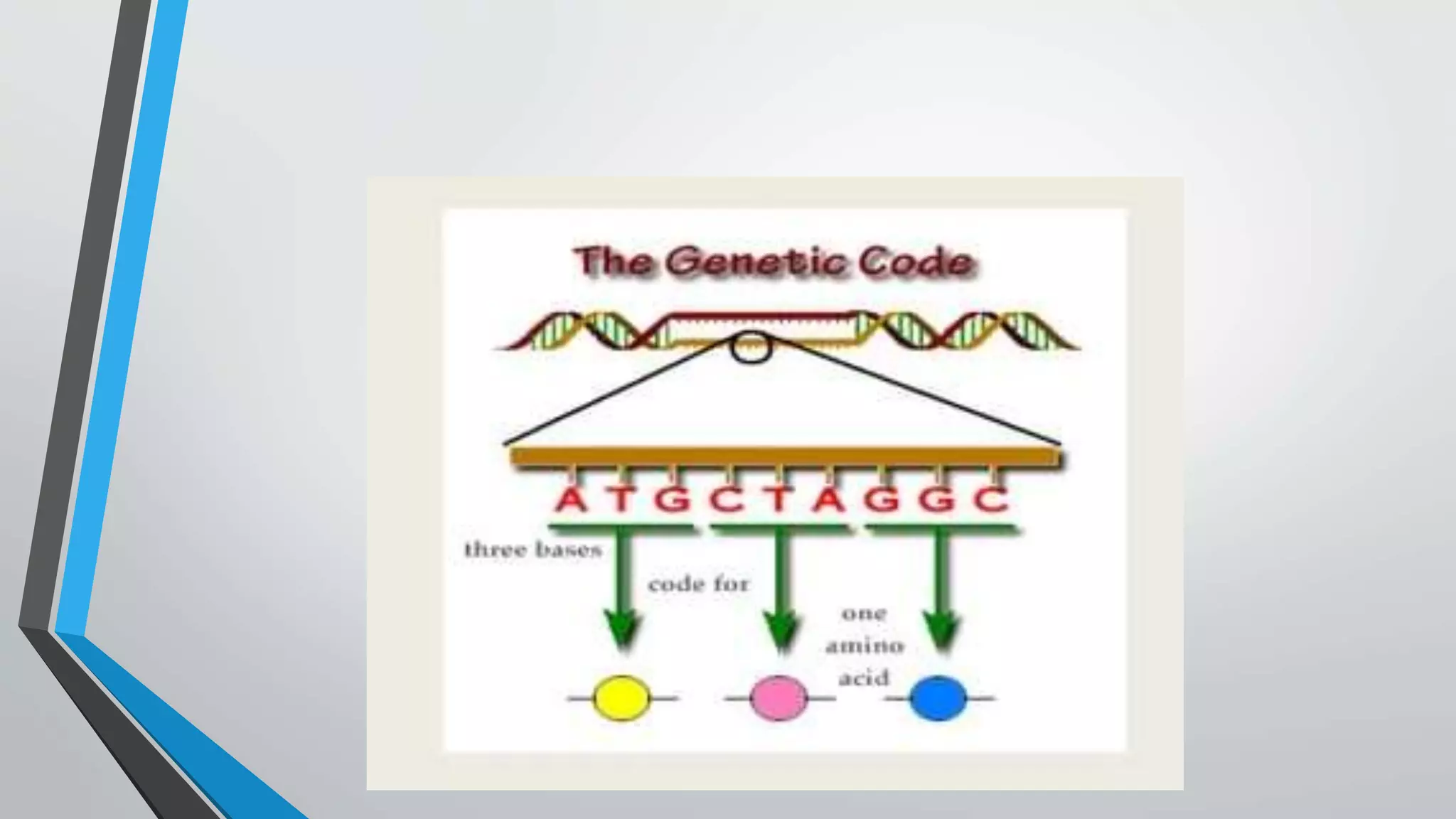 GENETIC CONTROL OF PROTEIN SYNTHESIS, CELL FUNCTION.pptx