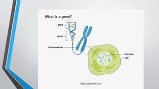 GENETIC CONTROL OF PROTEIN SYNTHESIS, CELL FUNCTION.pptx | Biological ...