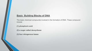 GENETIC CONTROL OF PROTEIN SYNTHESIS, CELL FUNCTION.pptx | Biological ...