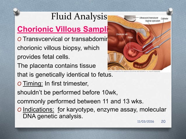 Genetic counselling & Prenatal Diagnosis | PPTX | Pregnancy | Reproductive Health