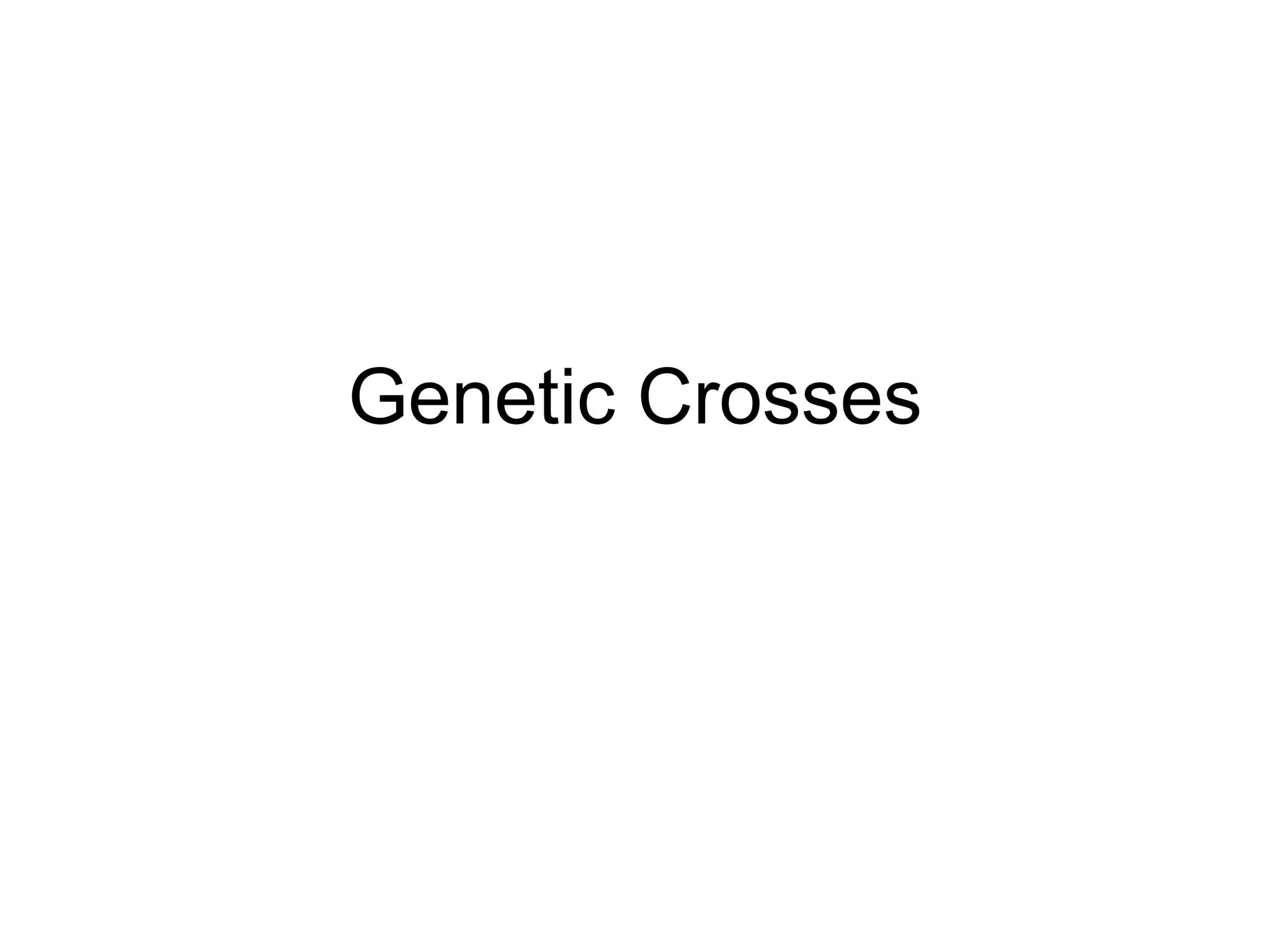 Genetic Crosses | PPT