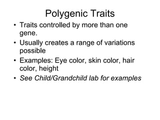 Animal Kingdom | PPT