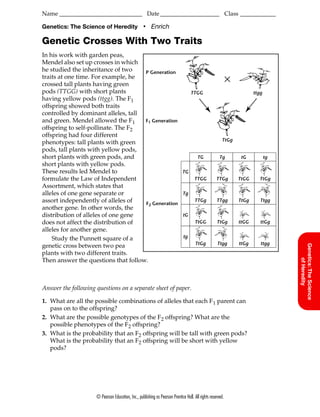 Genetic Crosses With 2 Traits | PDF