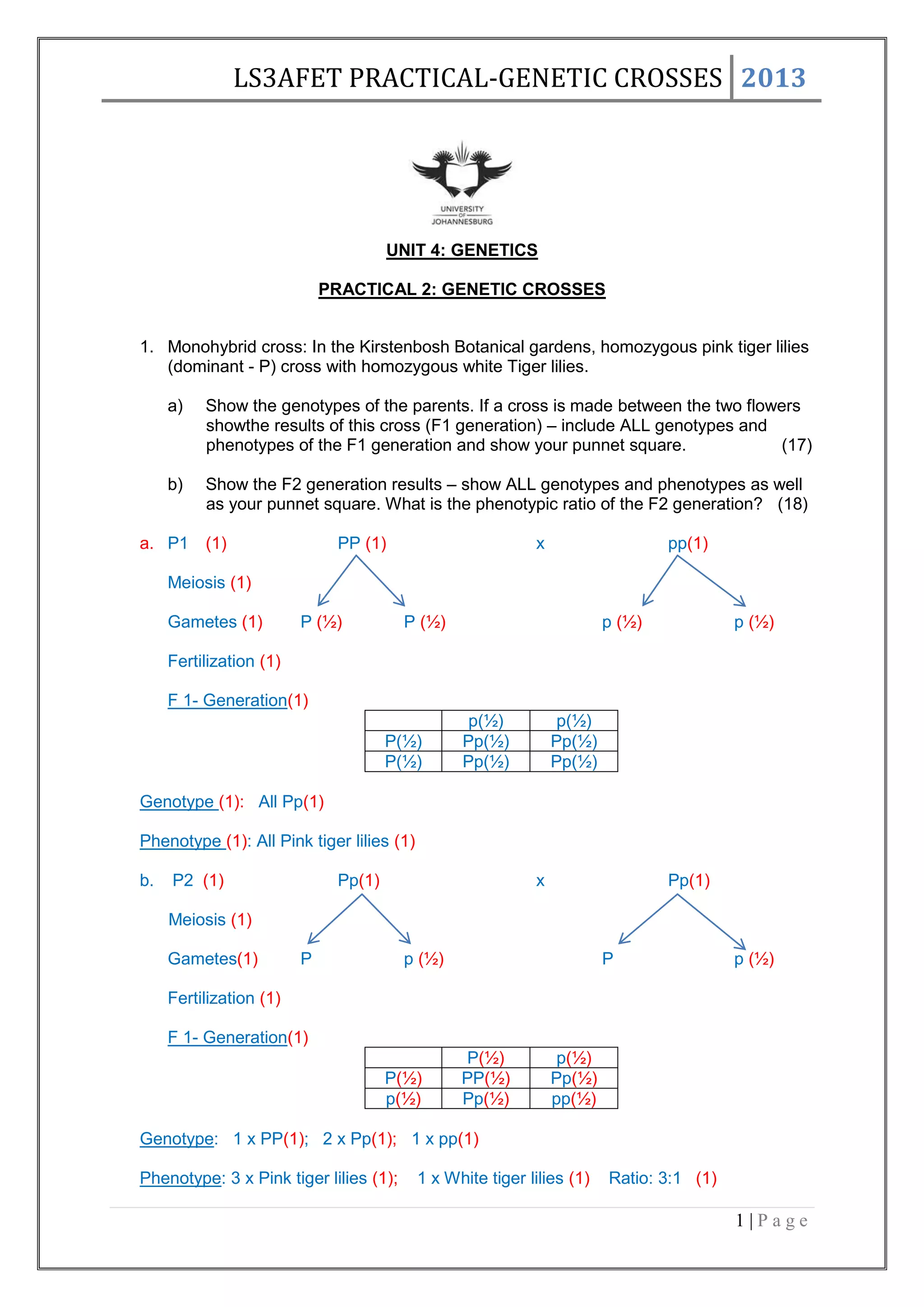 Genetic crosses worksheet | DOCX