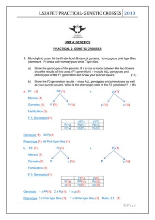 Genetic crosses worksheet | DOCX